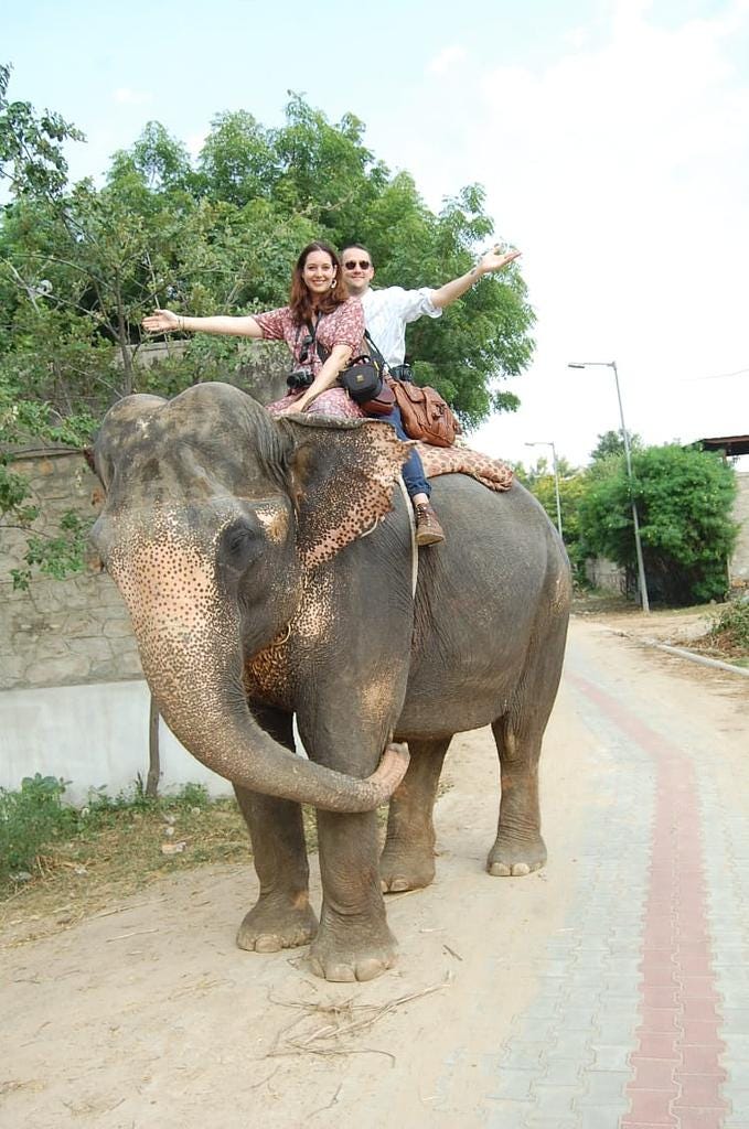 Best Elephant Sanctuary in Jaipur | by Elefriendindia | Jan, 2024 | Medium