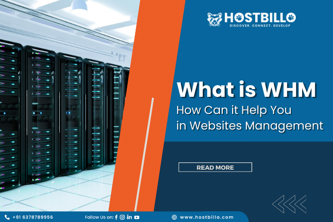 What is WHM and How Can it Help You in Website Management? | by ...