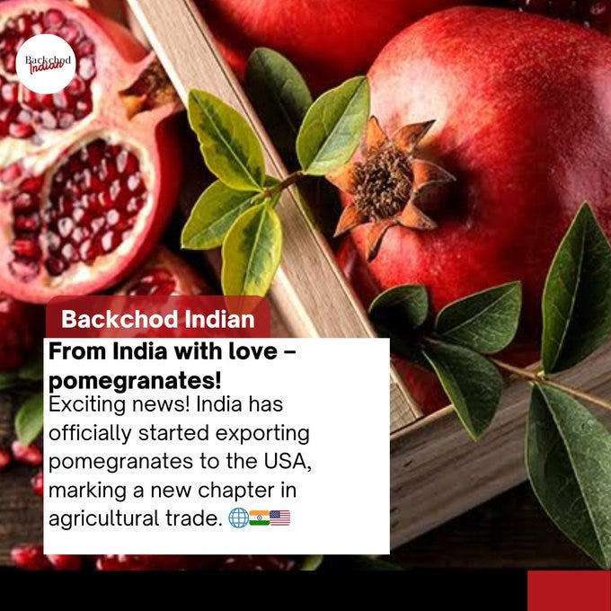 India’s Pomegranate Export Triumph: Adding Zest to American Markets ...