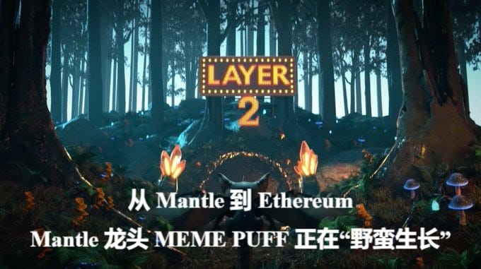 从 Mantle 到 Ethereum：Mantle 龙头 MEME PUFF 正在“野蛮生长” | by 小树苗- | Sep, 2024 ...