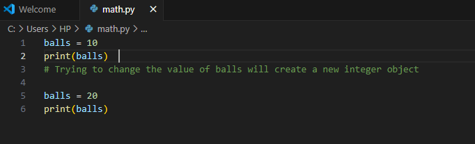 ProjPython Programming. Introduction: | by Owen Ganza | Nov, 2024 | Medium