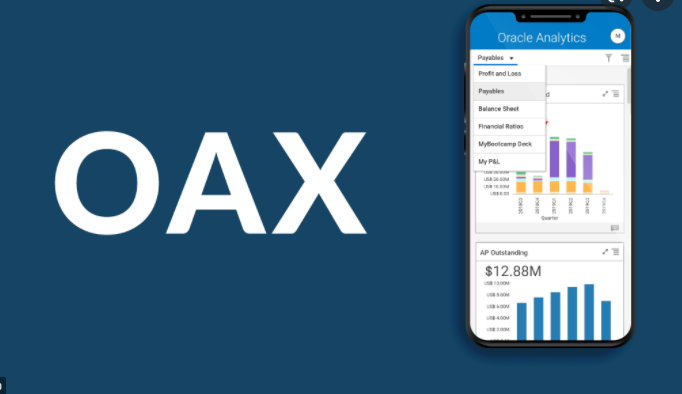 Creating a Custom Subject Area in FAW(Fusion Analytics Warehouse) | by Harjinder Singh | Medium