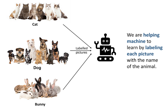 Generative AI for Beginners: Part 2 — Understanding Machine Learning ...