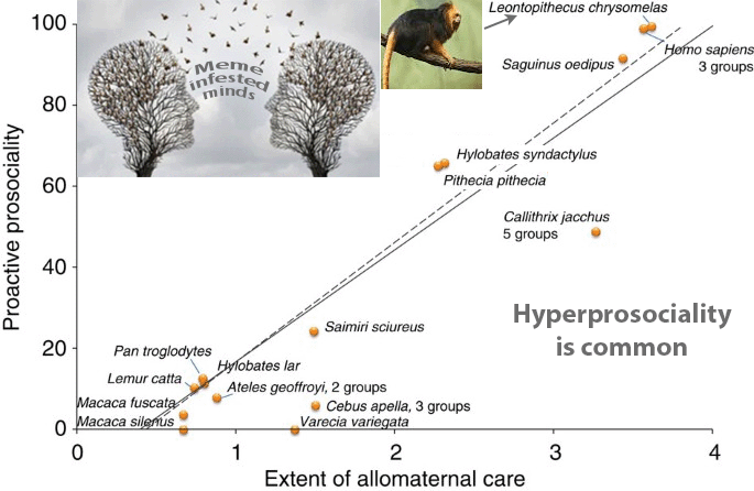 Hyperprosociality. Modern humans have it, a precondition… | by Eric Lee ...
