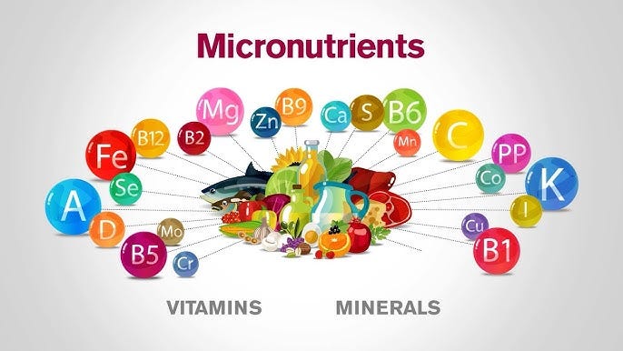 Micronutrients: Vitamins and Minerals You Need | by Food & Nutrition ...