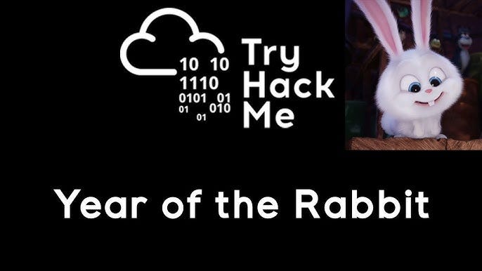 Year of the Rabbit ~TryHackMe. What is the user flag? | by systemd | Medium