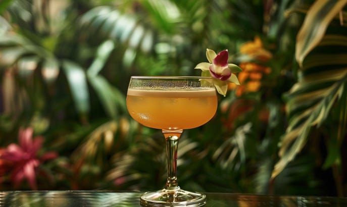 What is the Fanciulli Cocktail Recipe? | by Priya | Jun, 2024 | Medium