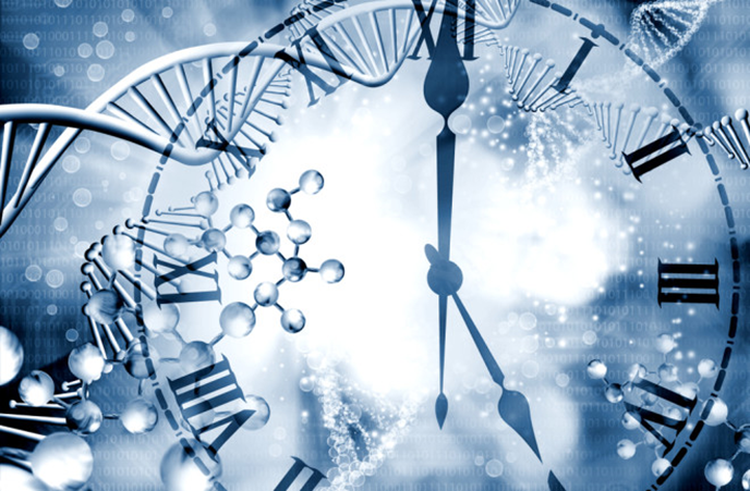 Longevity and Genomics: Can Your Genes Help You Live Longer? | by ...