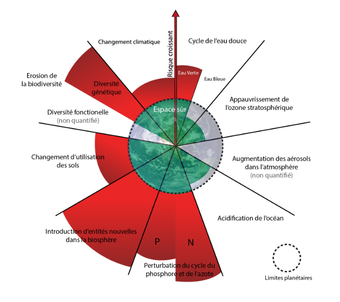 Comment la systémique a changé ma vision du monde ? (1/3) | by Dan Dang ...