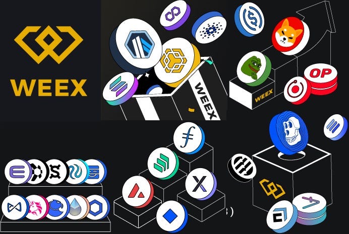 半年上架70多项目，开启新一轮融资，WEEX交易所乘风破浪 从WEEX上币逻辑看2023年加密市场热门赛道 2023年，WEEX唯客交易所在2022年逆势爆发的基础上乘胜追击，提出了三大「赢的 ...