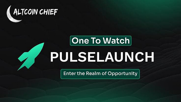 PulseLaunch: Revolutionizing the Launchpad Ecosystem on the PulseChain Network | by Nur Farhan ...