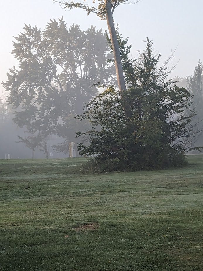 I Got To Interview With The Fun and Dynamic Robin Wilding on YouTube ...