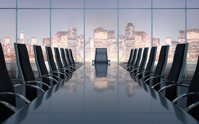The Role of the Board Observer. Who They Are, Why We Like Them, and How ...