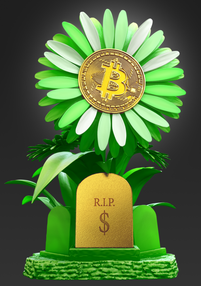 BTC Flower: In Realizing the Dream of Web3 | by FPDAO | Medium