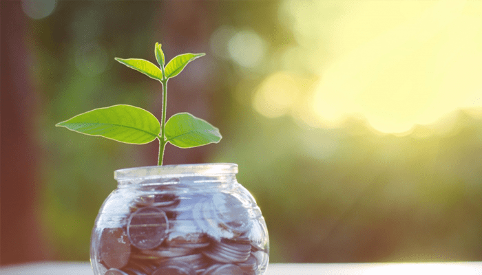 5 Phases of the Startup Lifecycle | by Syed Reshma | Medium