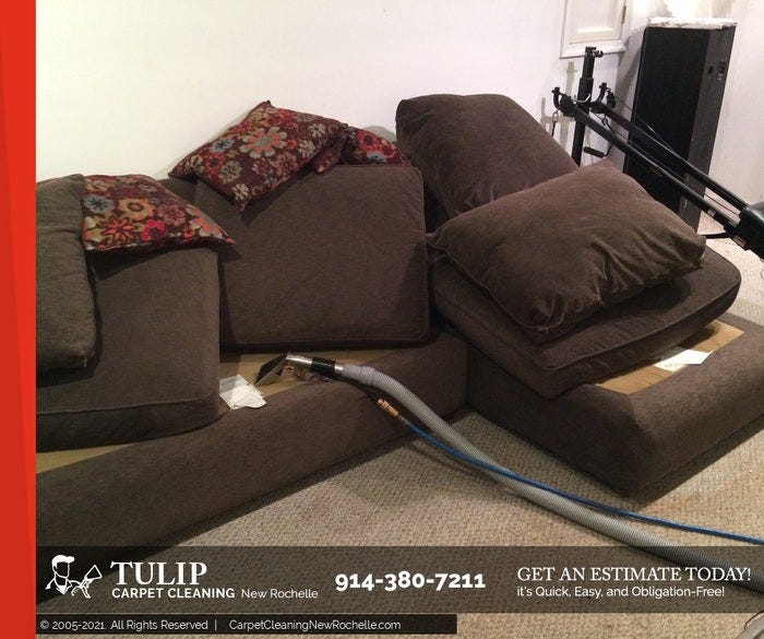 Tulip Carpet Cleaning New Rochelle - Alan Boisvert - Medium
