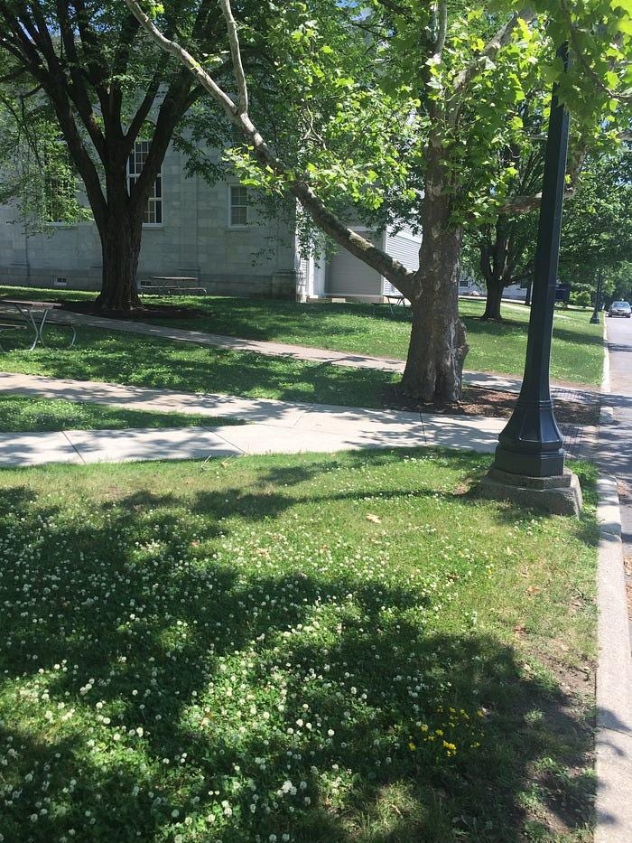 A Teacher’s Nightmare Pt. 2. Jennifer stood frozen in time, her… | by ...