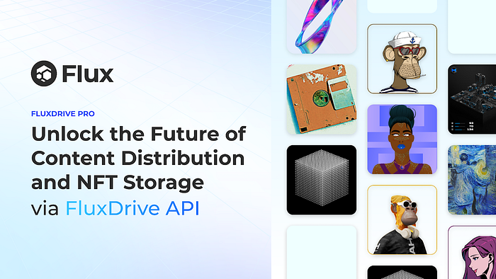 FluxDrive Pro — Armazenamento Descentralizado Para DApps e NFTs | by ...
