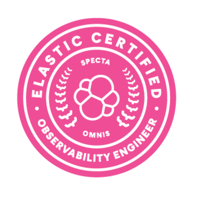Elastic Certified Observability Engineer Exam: Configure and run ...