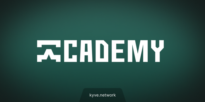 KYVE network. Introducing the KYVE Academy, Enabling… | by Sahilrock ...
