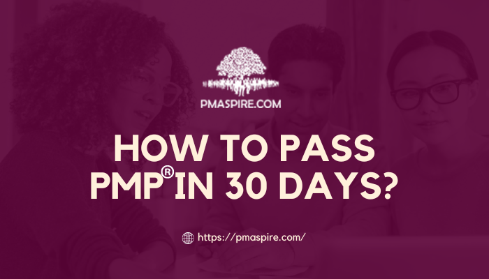 How to Pass PMP in 30 Days?. The idea of obtaining the Project… | by ...