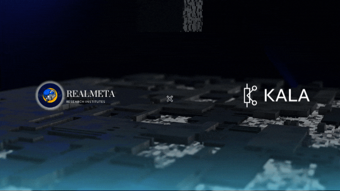 Announcing our partnership with KALA Network | by Real Meta Institutes ...