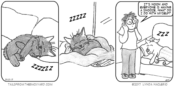 Everyone Is Having A Snooze. https://tailsfromthebackyard.com/2017/11 ...