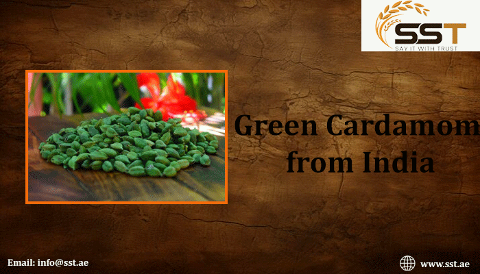 Green Cardamom from India - umam mehdi - Medium
