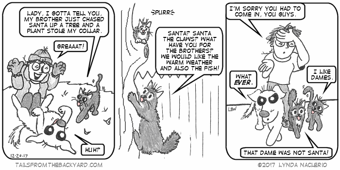 Santa The Claws?. https://tailsfromthebackyard.com/2017/12… | by Lynda ...