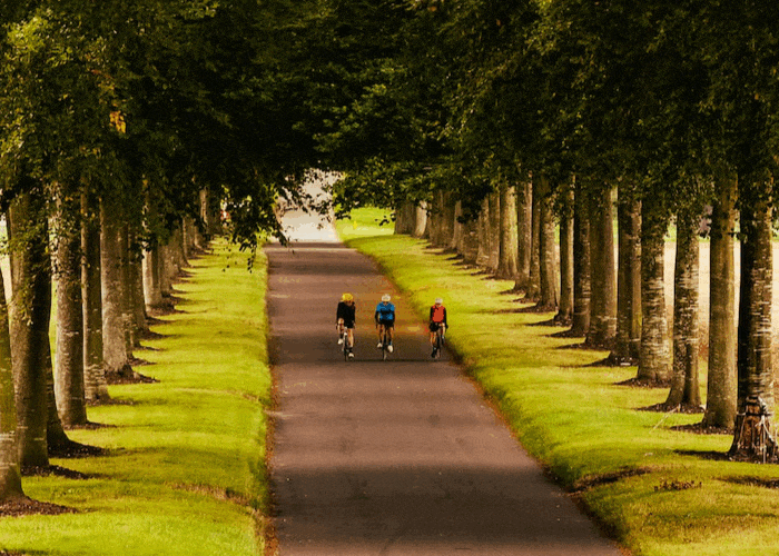 Happy Paths, Edge Cases, and Empathy | by Chris Raymond | UX Collective