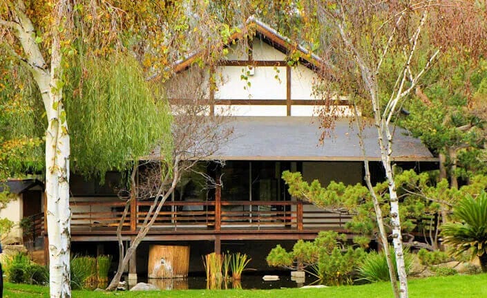 Awakening #2. Cutting through the noise | by Lila French | Aug, 2024 ...