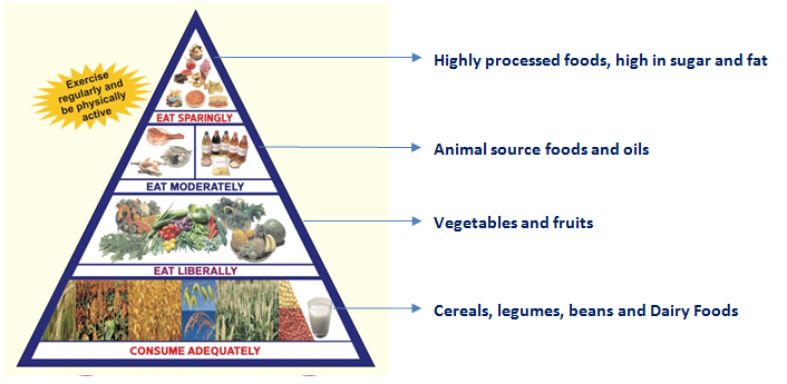 Food Pyramid: A Healthy Diet For Kids & Adults as Well! | by pedia sure ...