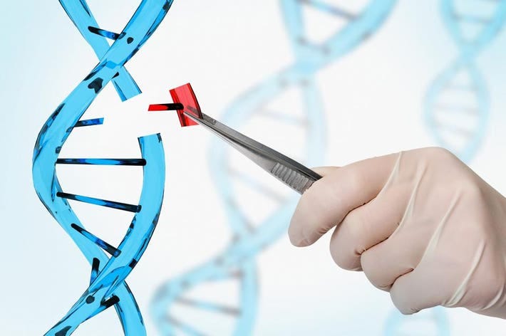 Navigating Genetic Engineering: A Comprehensive Guide to CRISPR Guide ...