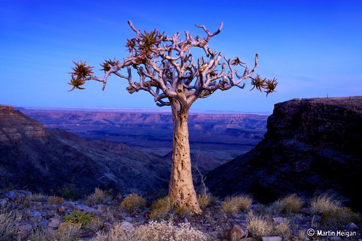 AVL Tree Explained. Basically Binary Search Tree with… | by Muhammad ...