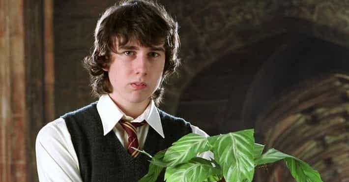 The Unlikely Hero: A New Take on Neville Longbottom’s Bravery | by Nathan Chen | Fandom Fanatics ...