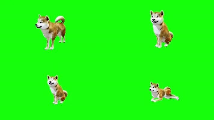 WebGL Chromakey Real-time Green Screen Matting | by Alexander Parks ...