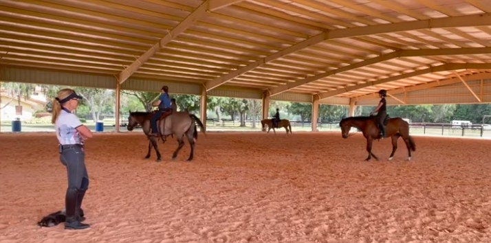 Barking Orders. Once you’ve taught your horse to be… | by Linda Parelli ...