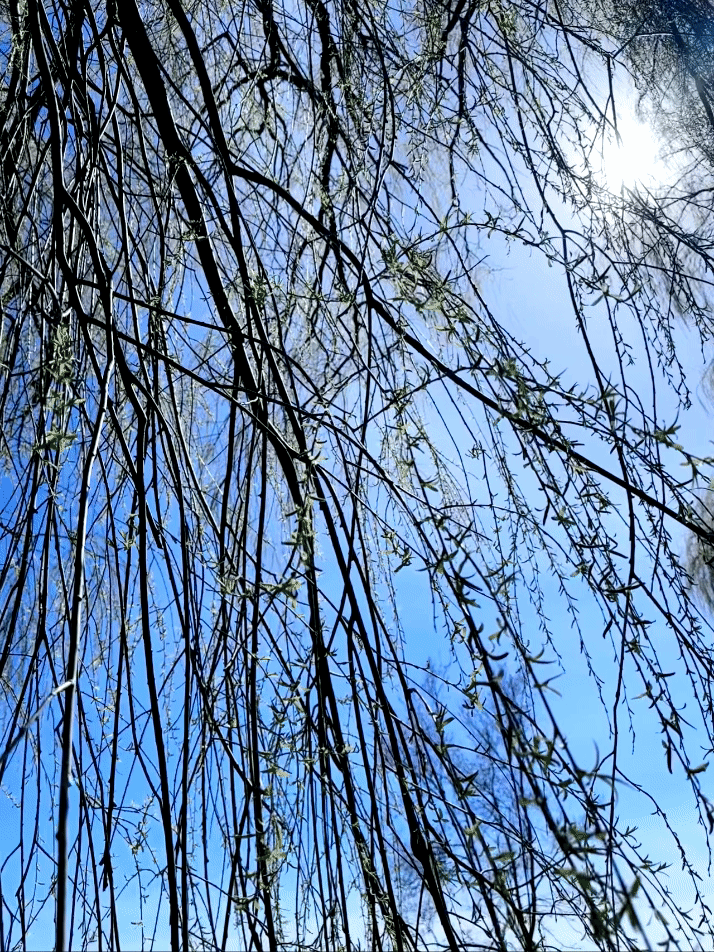 The Winds Of Life Surprise, Heal, Clear With Purpose | by Terry ...