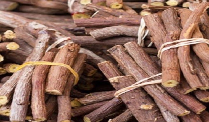 LICORICE. This medicinal plant,is also known as… | by Ali Ibn Redouan ...