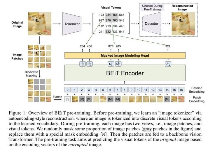 Microsoft BEiT: BERT Pre-Training of Image Transformers (ไทย) | by PUSH ...