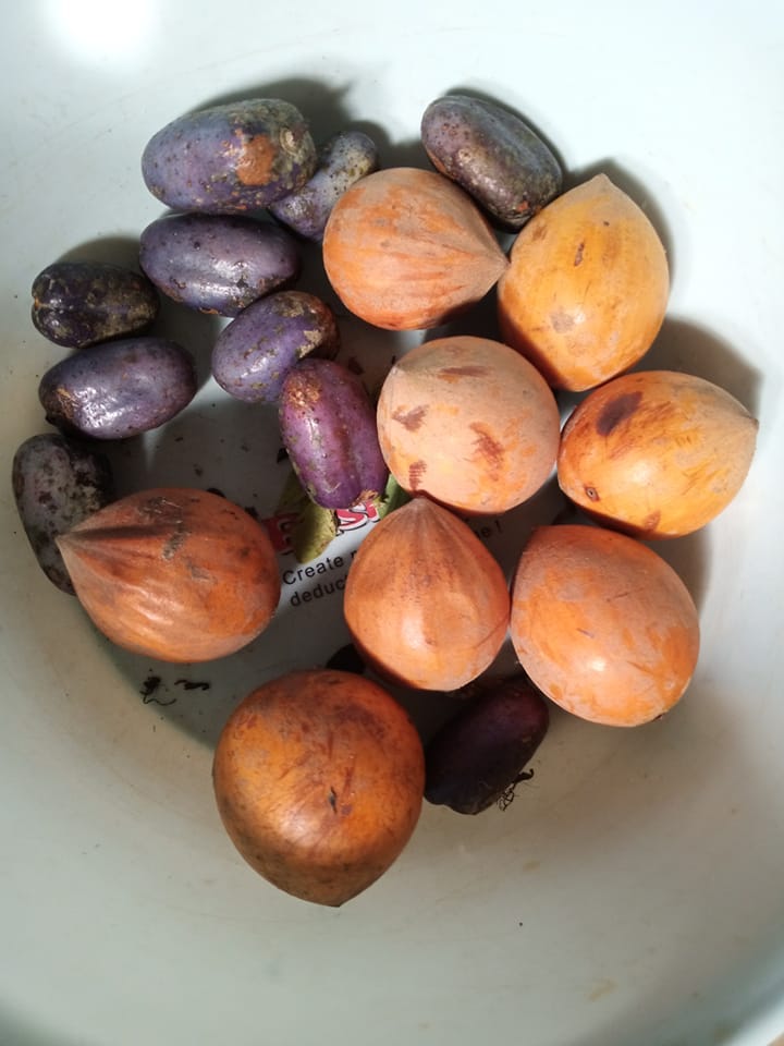 The story of the widow of Zaraphath is quite a wonderful story that we make reference to in ...