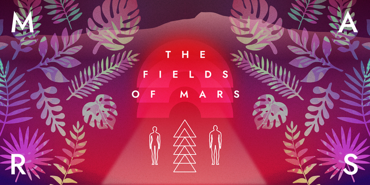 Una visione per i “Fields of Mars” e il contract-to-contract (C2C ...