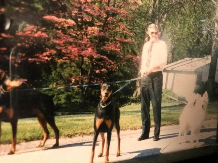 Hop on — Hop Off (special edition) | by George Hopkins | Medium