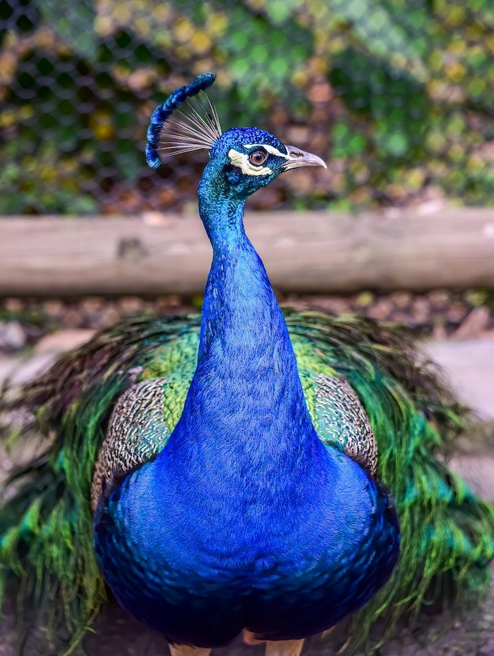 Unique Essence Rare Presence Photo by Jairo Alzate on Unsplash Your own ...