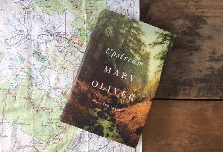 Upstream — A Book Review. In books : truth, and daring, passion… | by ...