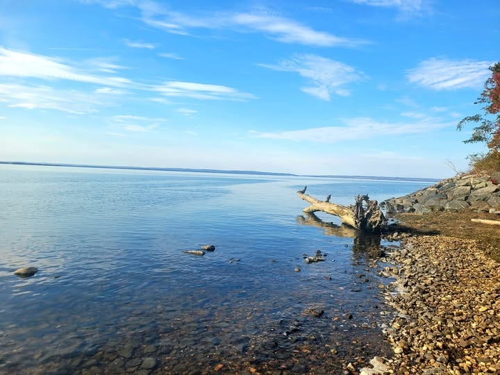 Personal Growth? - Cryptic Castle - Medium