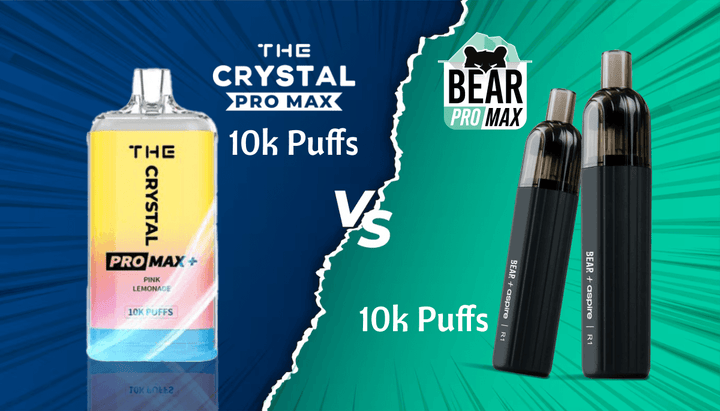 Crystal Pro Max vs. Bear Pro Max: Battle of the 10000 Puffs Vapes | by ...