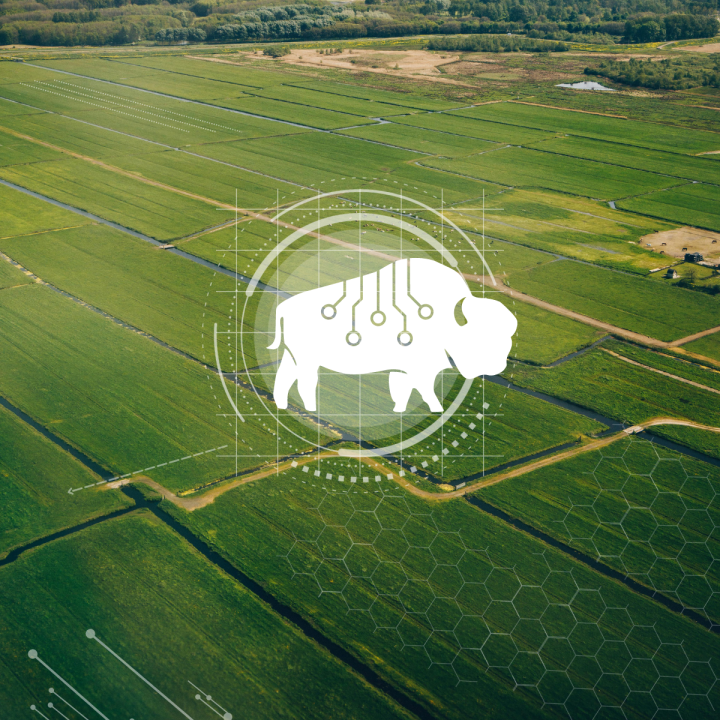 Welcome to Bison Data Labs — Our Journey Begins! | by Bison Data Labs | Medium