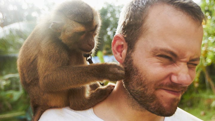 The Growing Trend of Home Monkeys: What You Need to Know | by Olivia ...