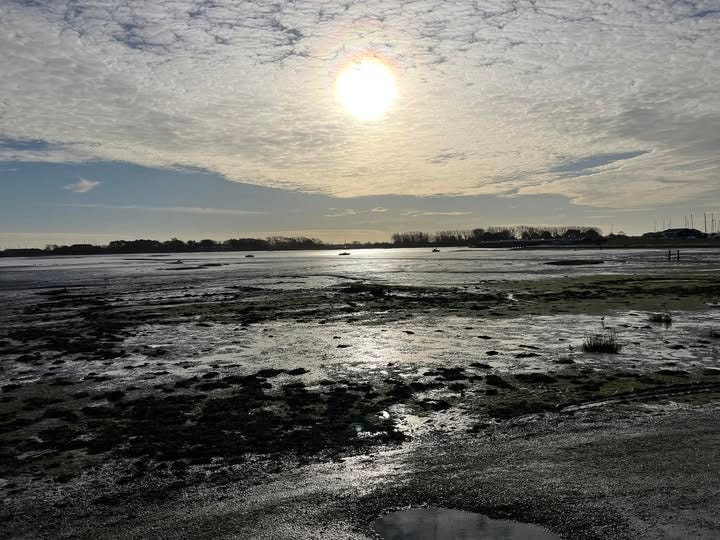 Watery Places. We can’t escape them | by Christine Morris Ph.D. | Weeds ...